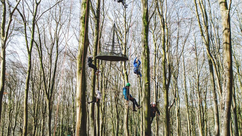 Discover Tree Climbing Adventures at Goodwood Estate | Goodwood Media ...