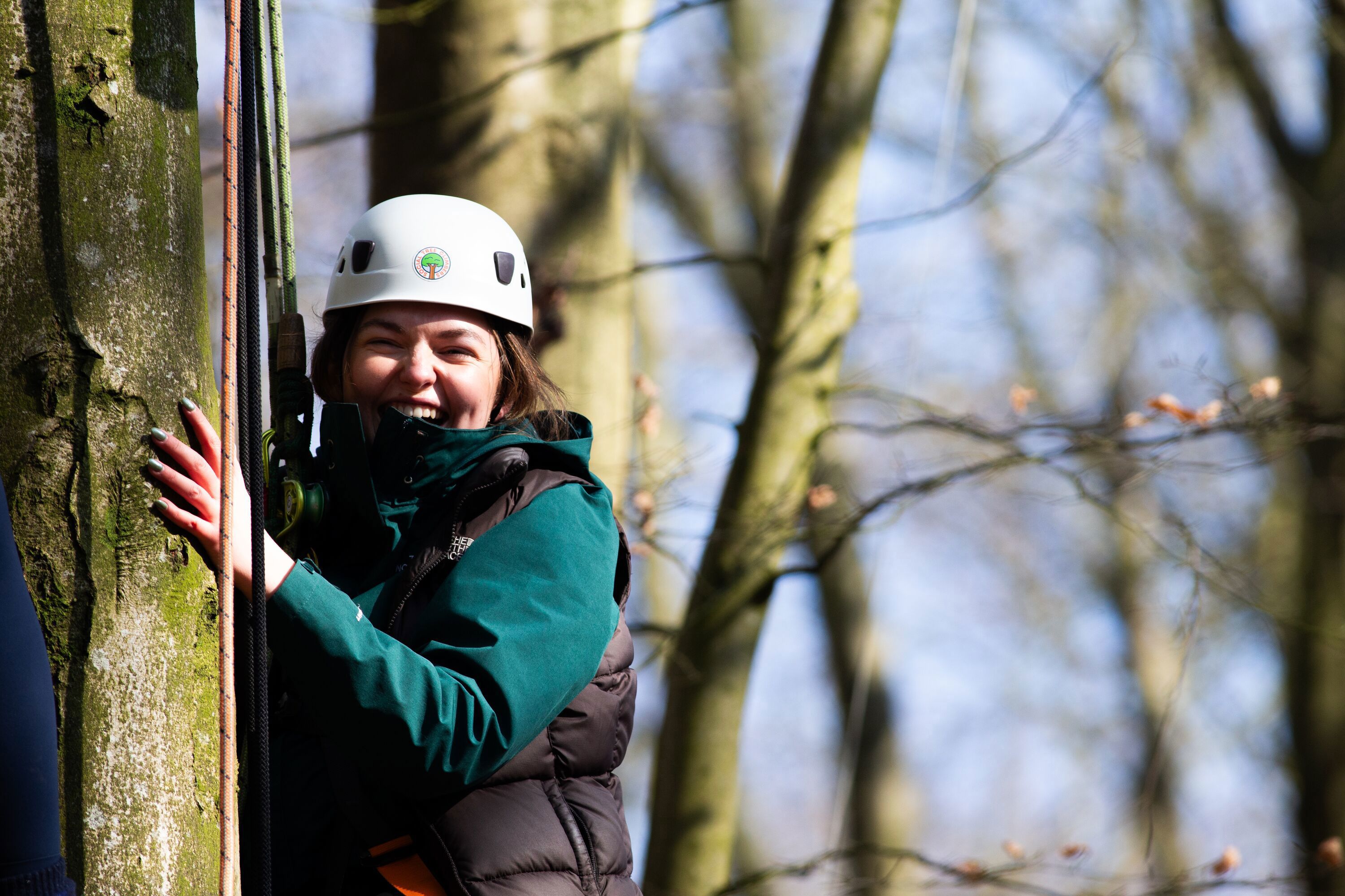 Discover Tree Climbing Adventures at Goodwood Estate | Goodwood Media ...