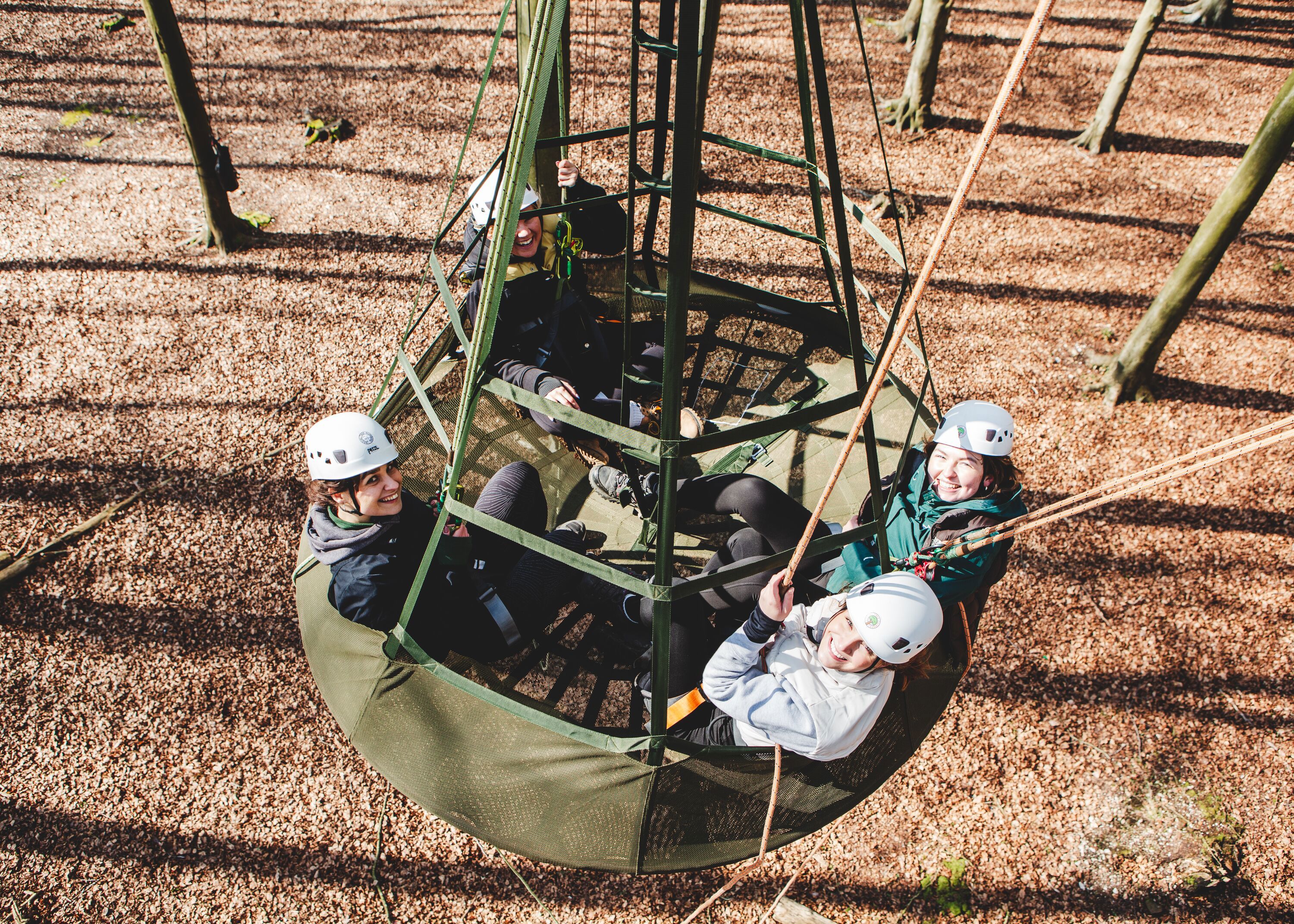 Discover Tree Climbing Adventures at Goodwood Estate | Goodwood Media ...