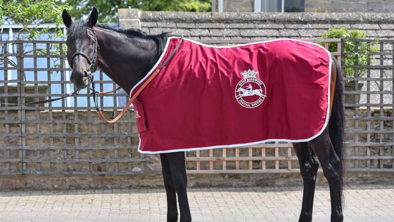 Stradivarius & Dee Ex Bee head 13 going forward for G1 Qatar Goodwood ...