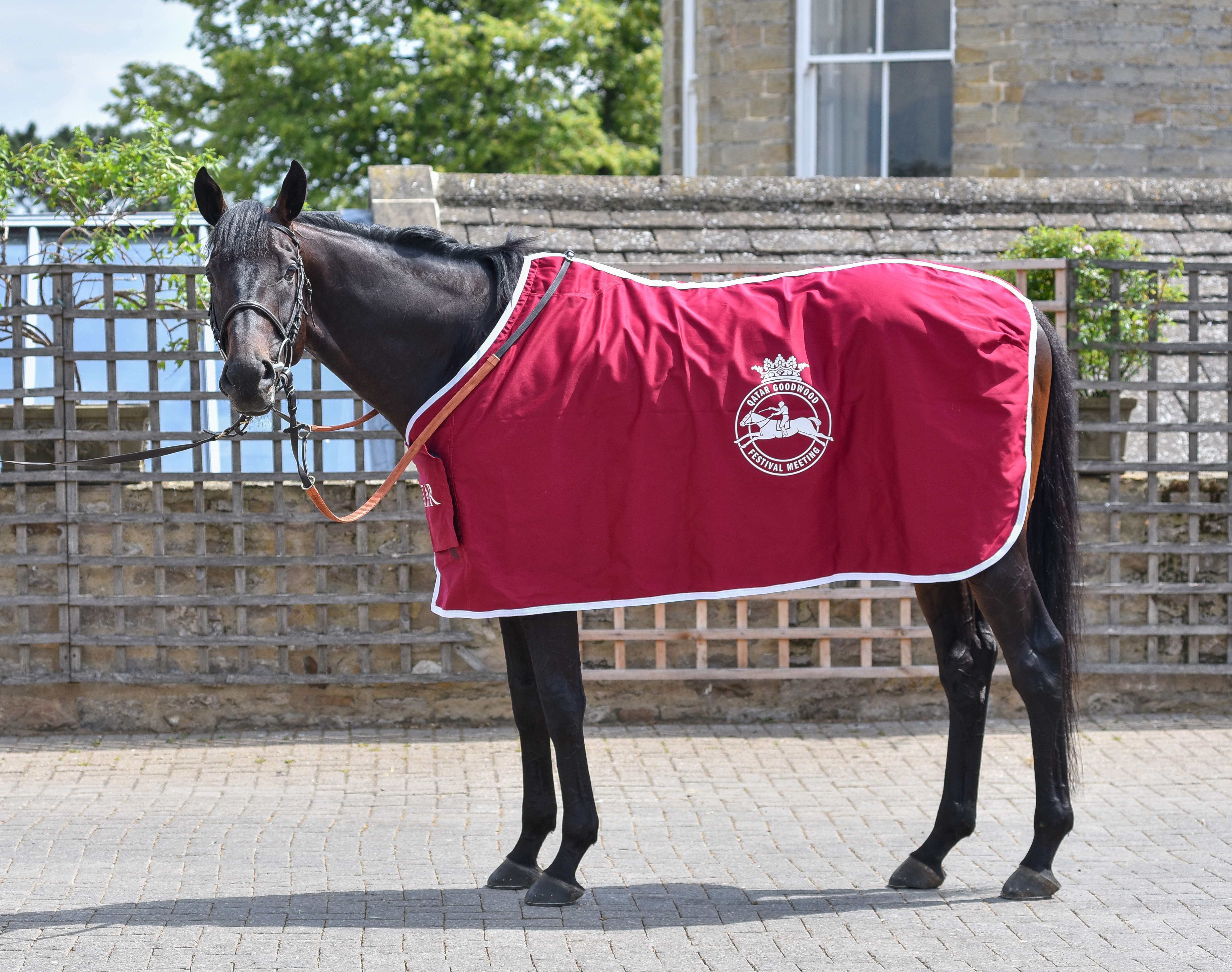 Stradivarius & Dee Ex Bee head 13 going forward for G1 Qatar Goodwood ...