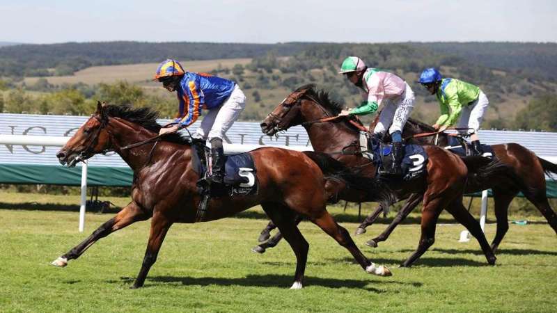 Mogul comes good in John Pearce Racing Gordon Stakes | Goodwood Media ...