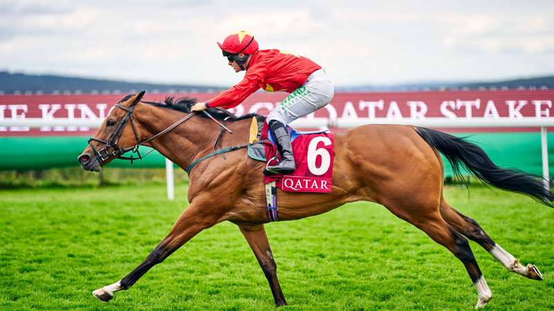 Highfield Princess reigns supreme in King George Qatar Stakes ...