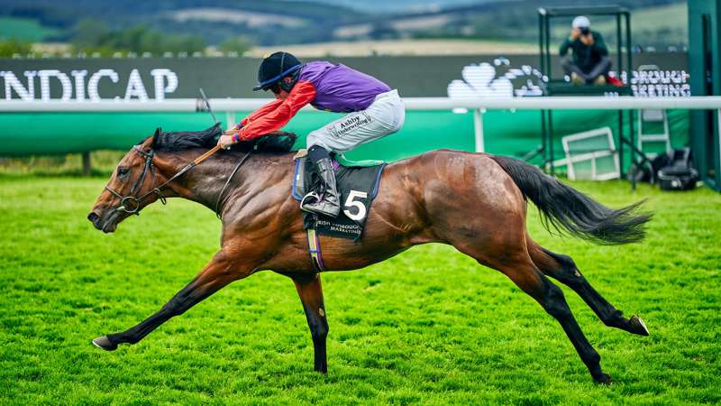 Royal colours in winner’s enclosure again thanks to Serried Ranks ...