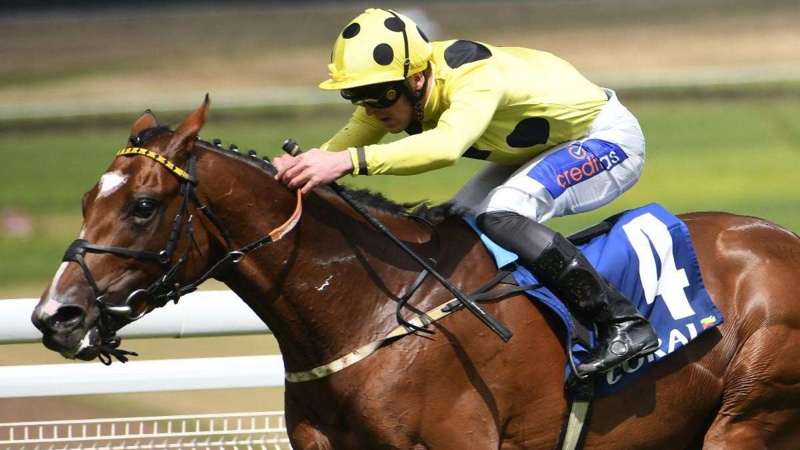 Royal Rhyme makes light work of Coral Kincsem Handicap | Goodwood Media ...