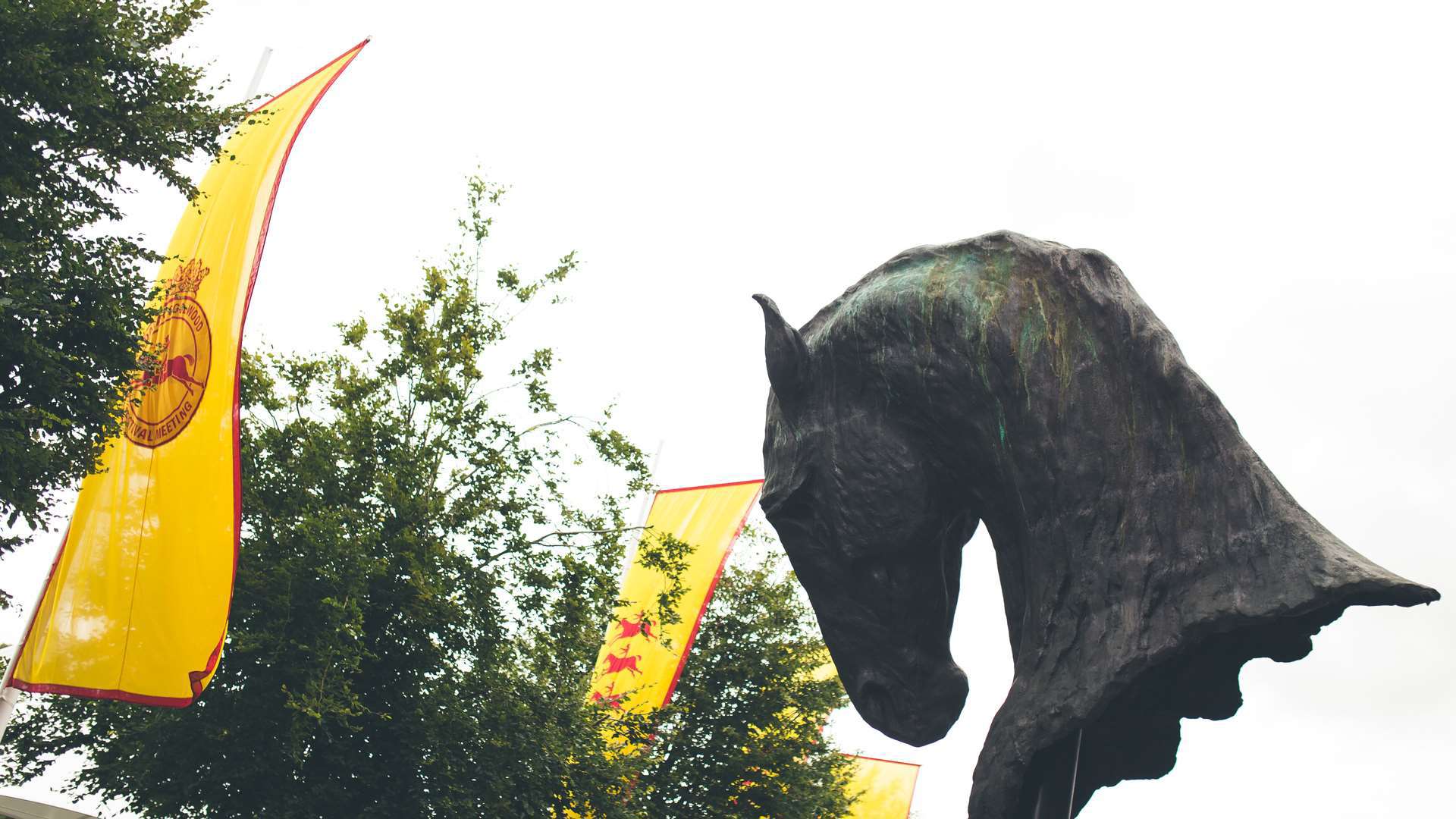 Thursday's Magnolia Cup | Goodwood Media Centre