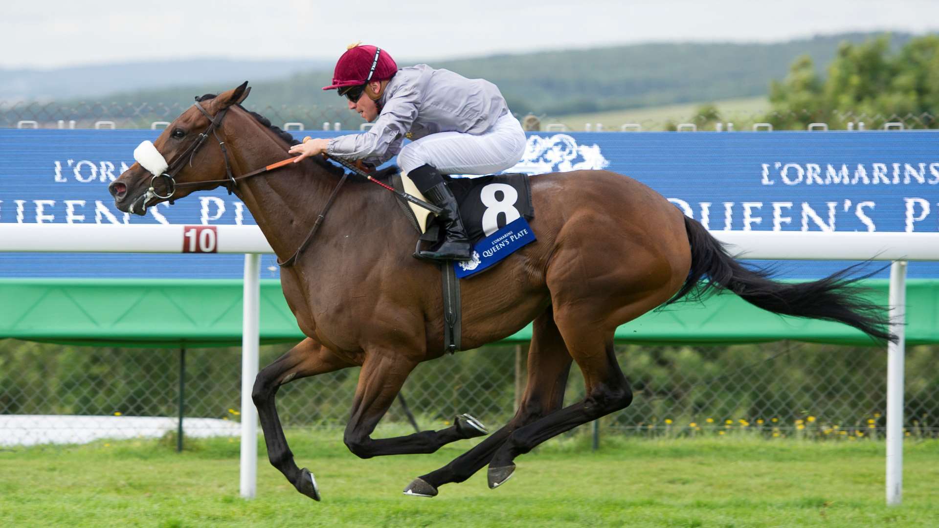 Jazi On Top | Goodwood Media Centre