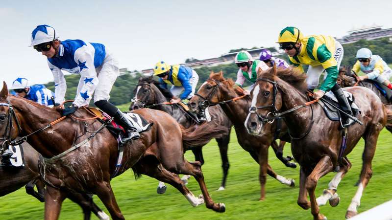 Alex Eade, Goodwood Racecourse's General Manager, reflects on a ...