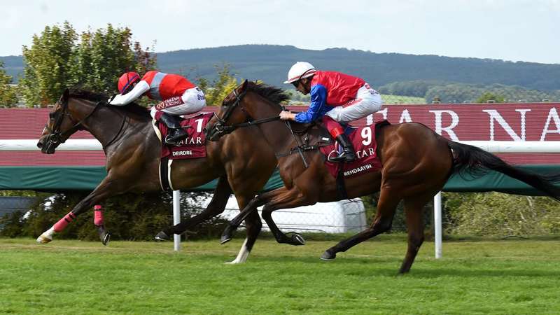 DEIRDRE SECURES HISTORIC SUCCESS FOR JAPAN | Goodwood Media Centre