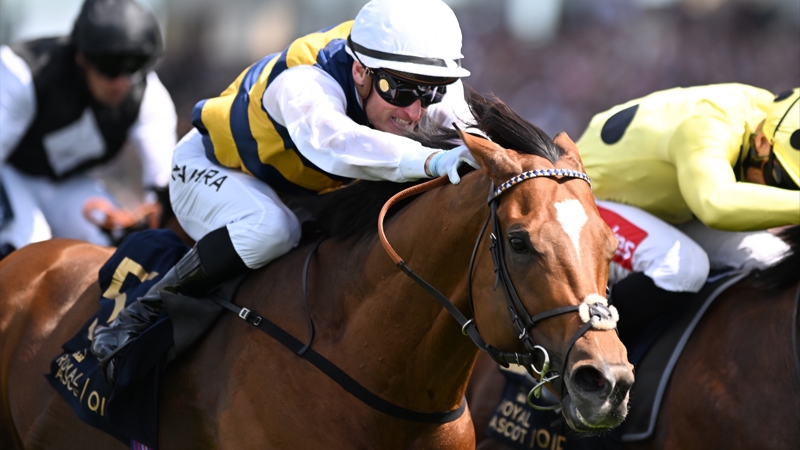 Eustace Eyes More Group 1 Success at Qatar Goodwood Festival Presented ...