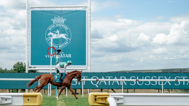 "Qatar Goodwood Festival presented by Visit Qatar has had it all ...