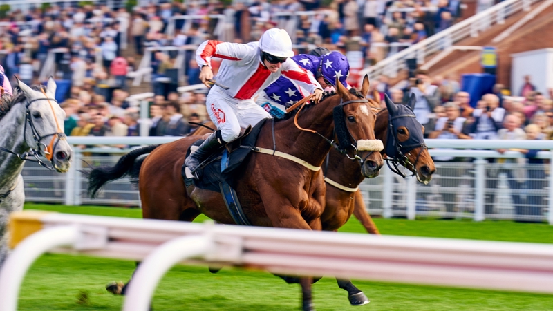 Goodwood Racecourse signs off for 2025 with Season Finale presented by ...