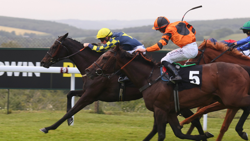 Apprentice jockey Joe Leavy comes out on top at Goodwood Racecourse ...