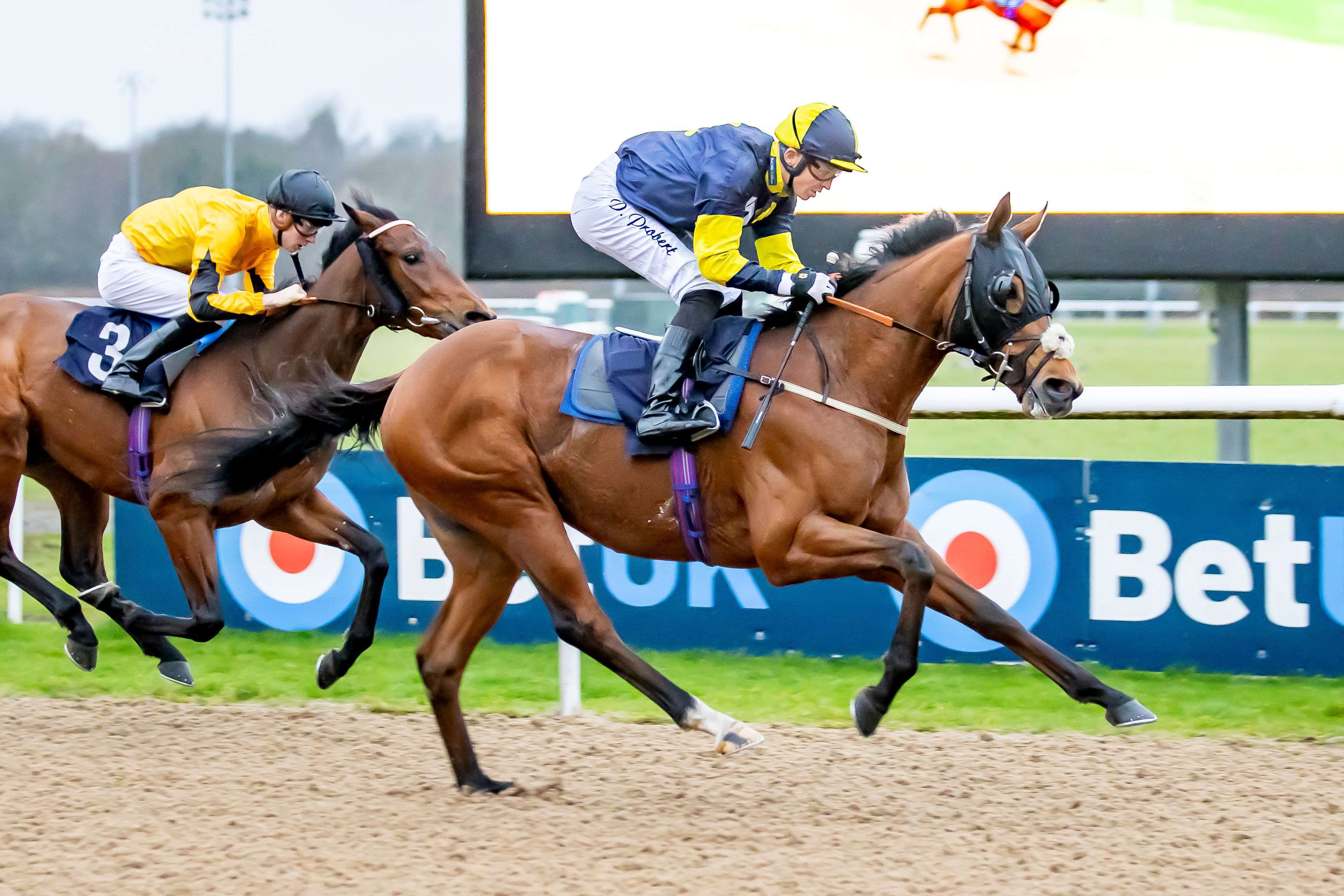 Goodwood Racecourse welcome Racing Club as race sponsor | Goodwood ...