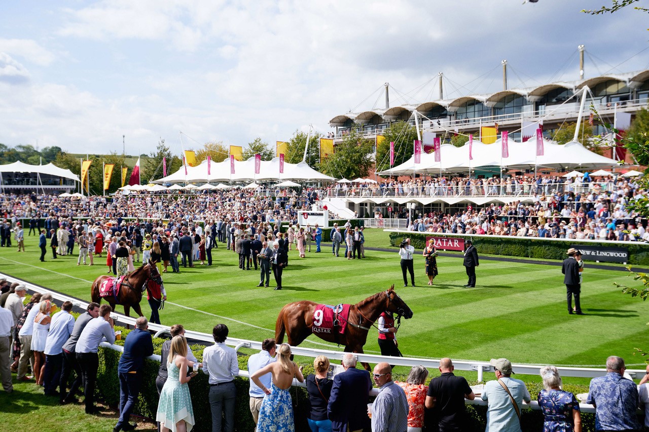 Media Centre | Goodwood Media Centre