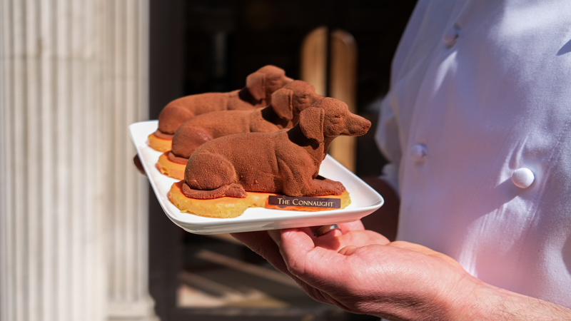 Goodwood announces canine collaboration with The Connaught | Goodwood ...