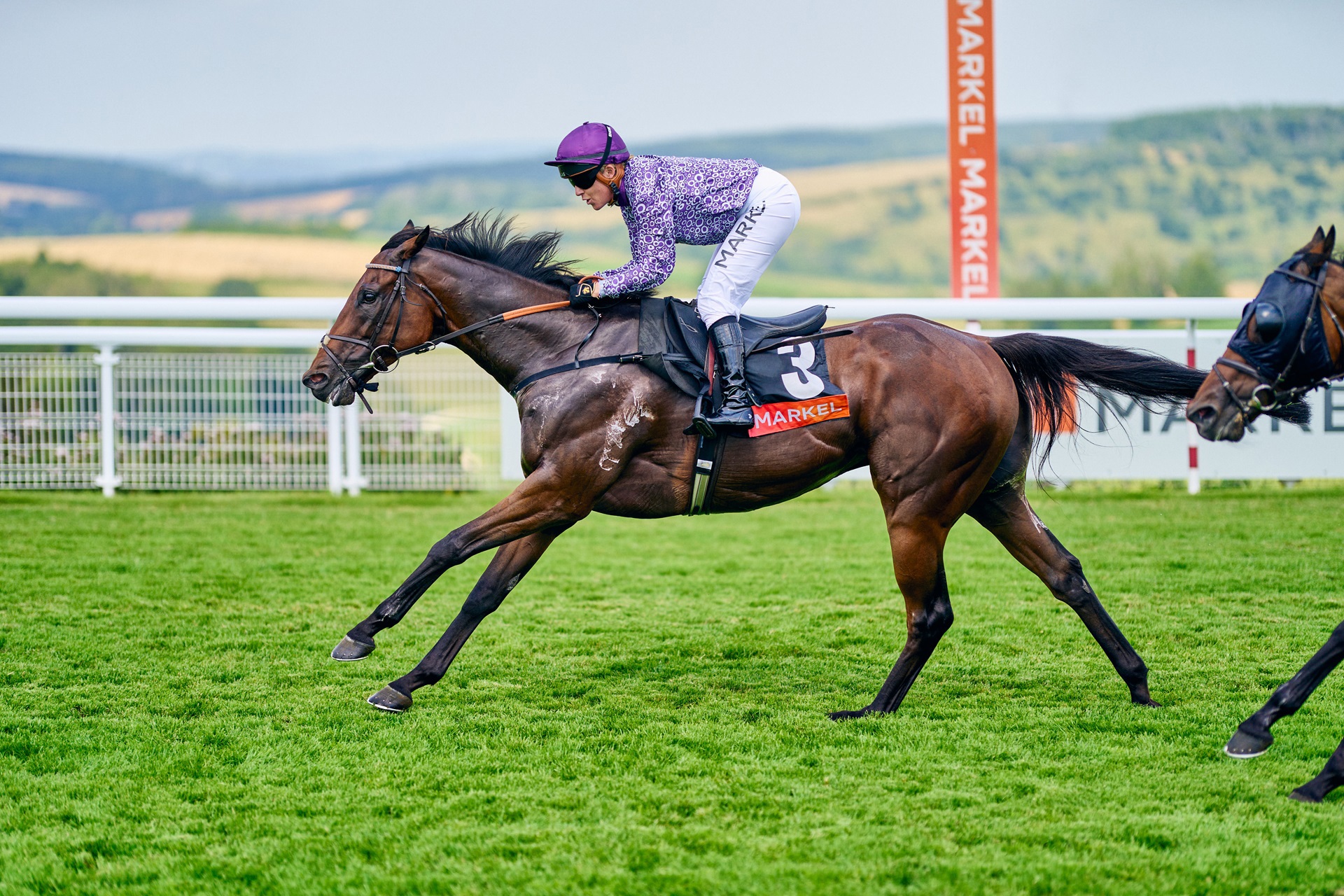 Line-up of riders announced for 2025 Markel Magnolia Cup raising money ...