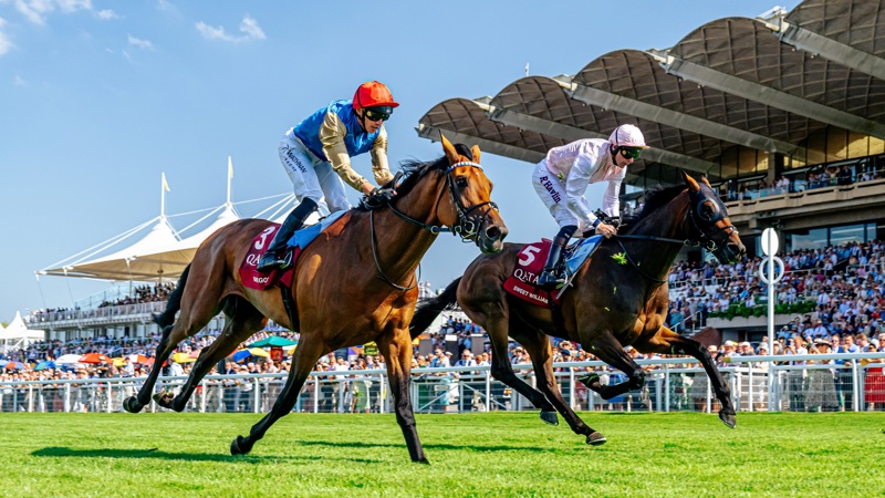 Get ready for an unforgettable season: Goodwood’s 2025 horseracing fixtures now on sale ...