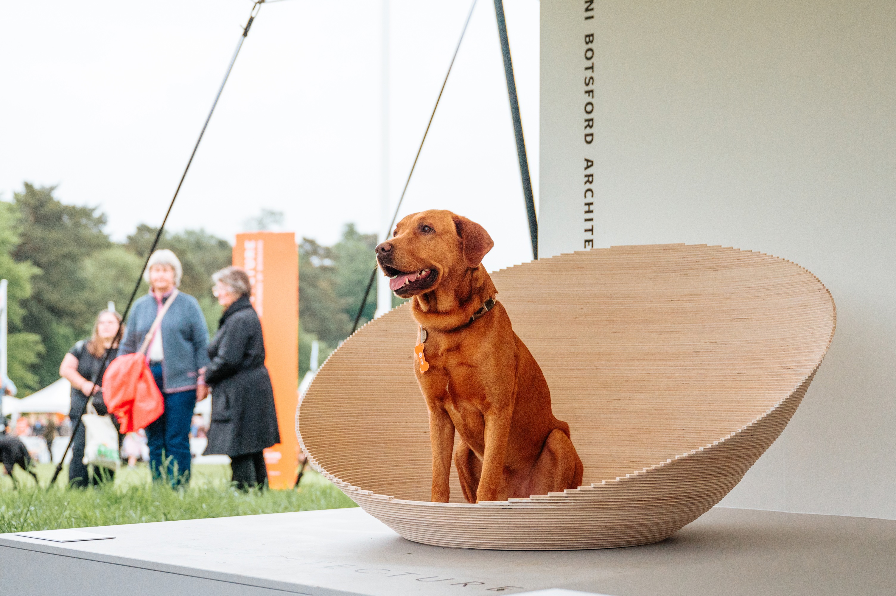 A giant leap for dogkind: Goodwoof’s Barkitecture competition ...