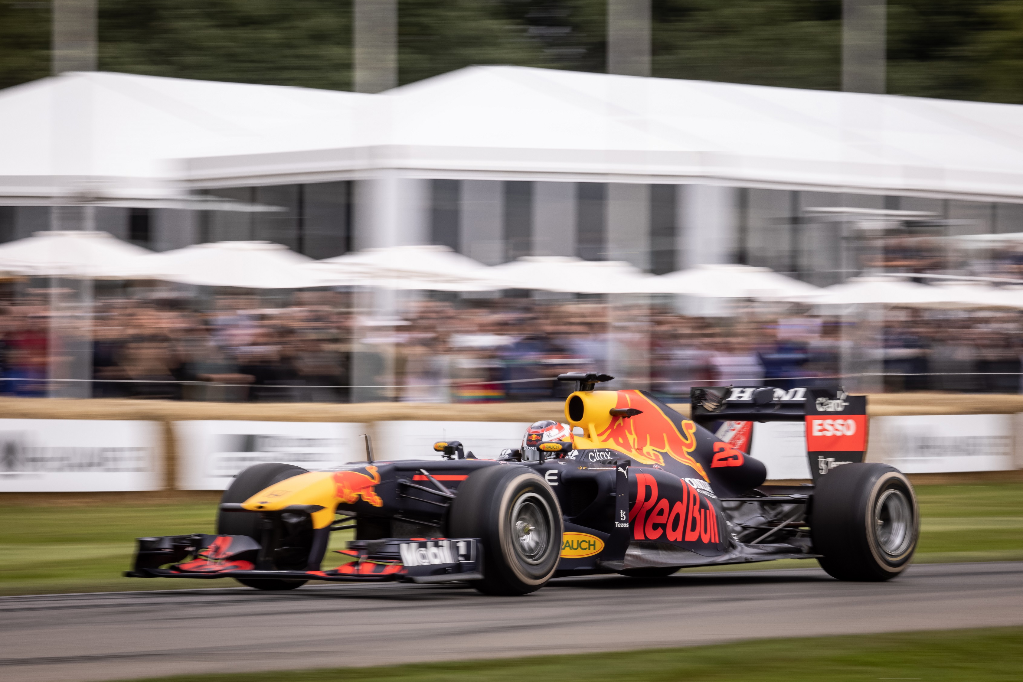 A stellar celebration: Max Verstappen to lead Oracle Red Bull Racing’s ...