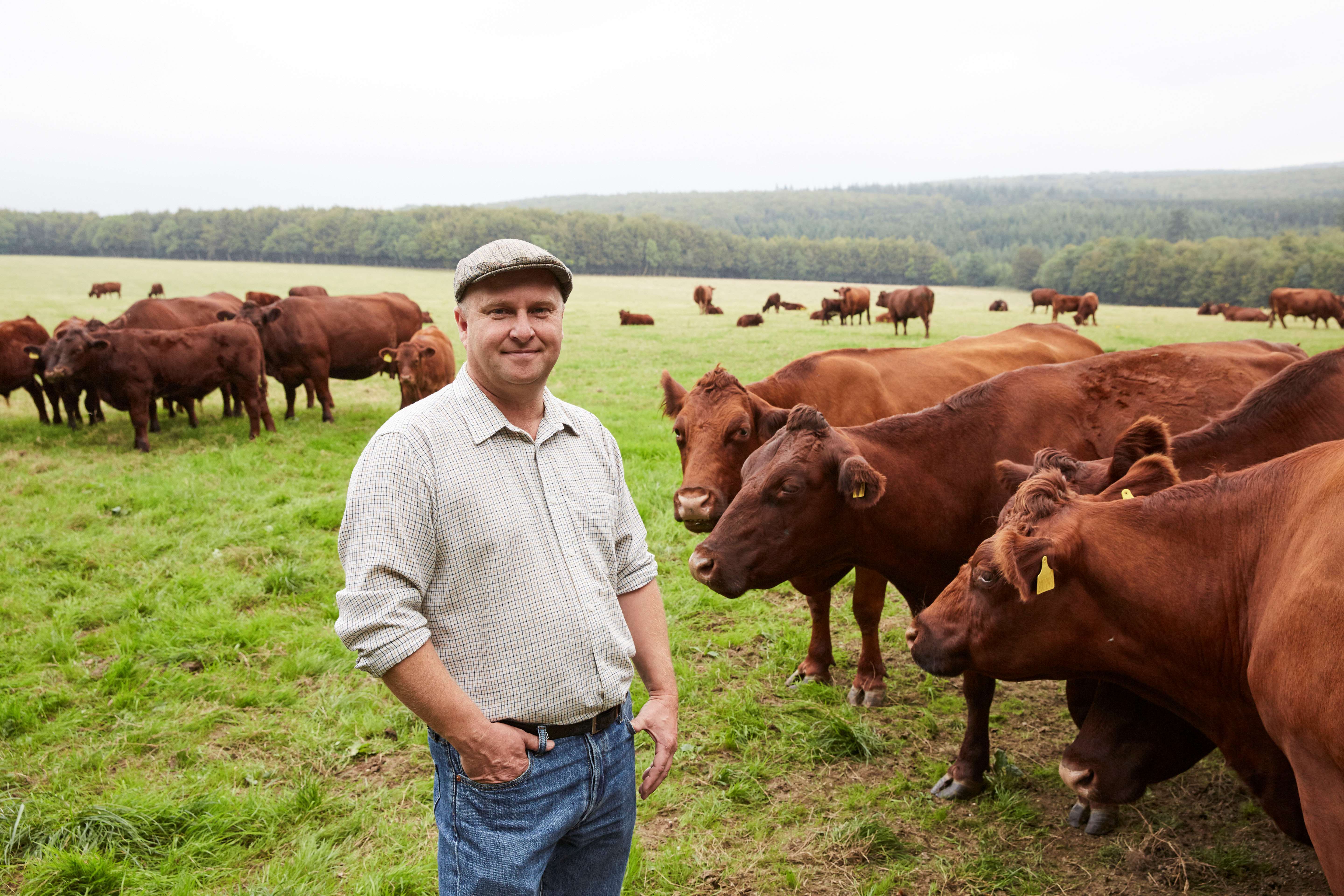 Goodwood launches Farmer, Butcher, Chef | Goodwood Media Centre