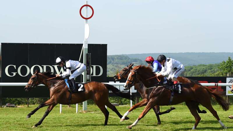 Goodwood Racecourse gallops back into action with its much-anticipated ...