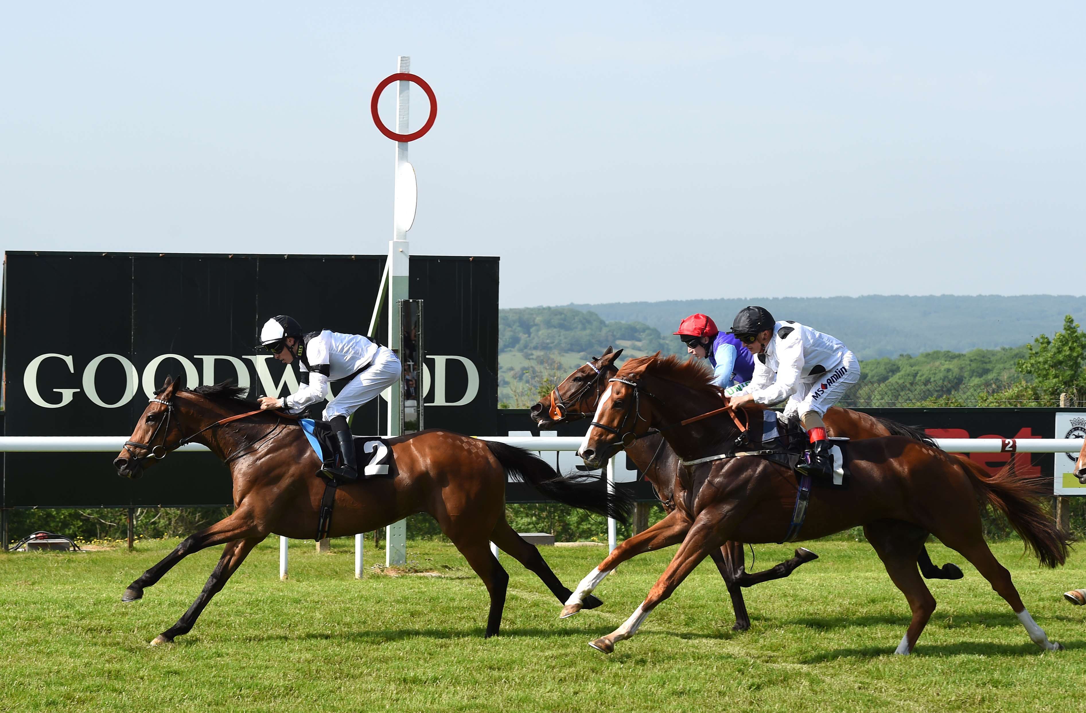 Goodwood Racecourse gallops back into action with its much-anticipated ...
