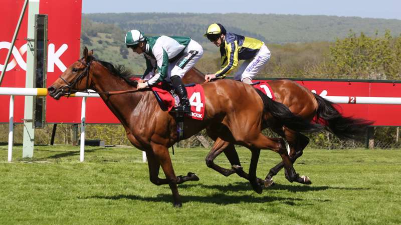 Group One performers among entries as racing returns to Goodwood this ...