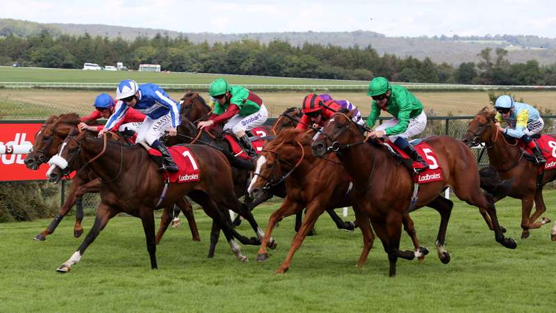 Fireworks and spectacular racing at August Bank Holiday | Goodwood ...