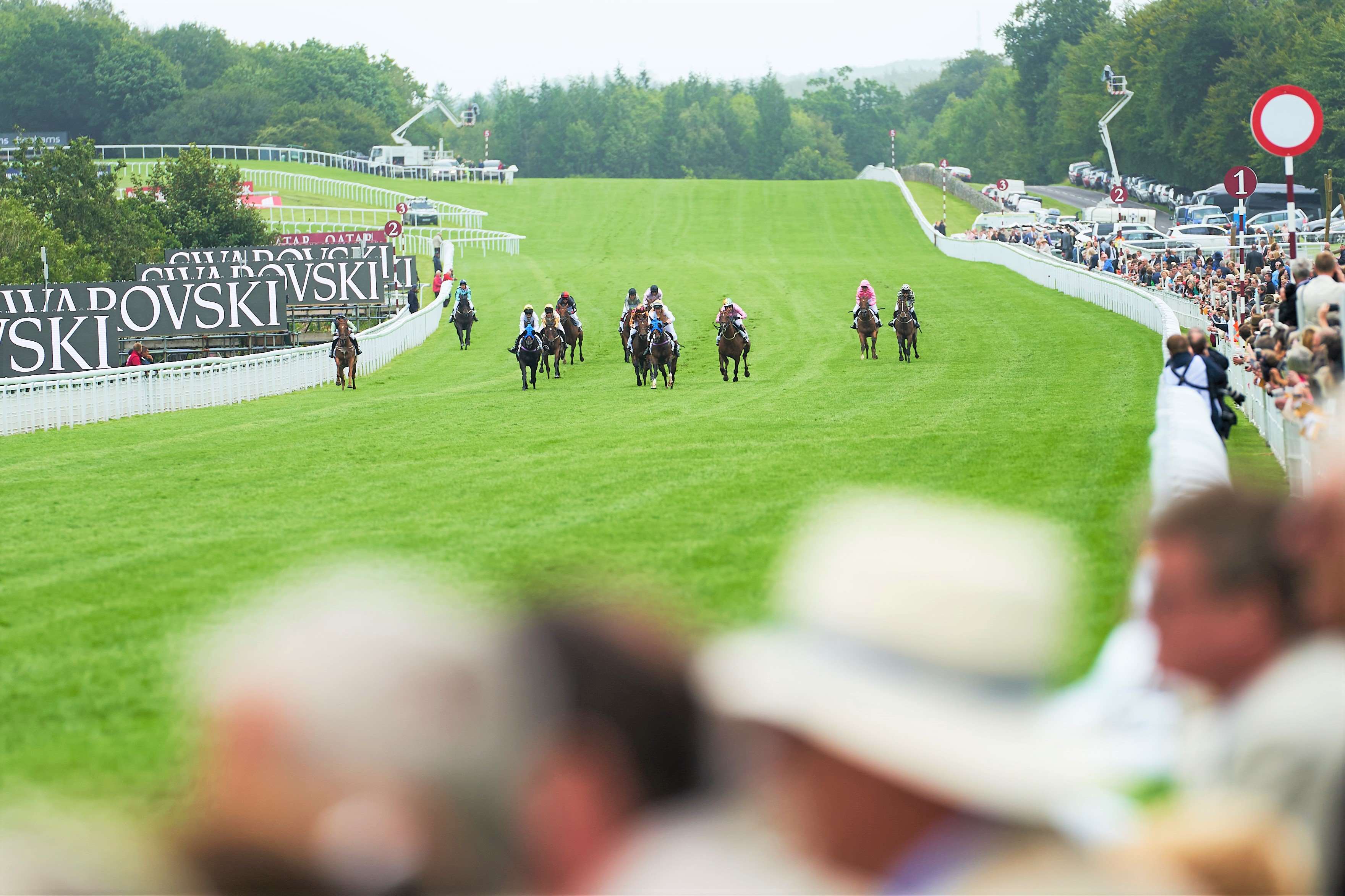 Magnolia Cup to feature star-studded line-up | Goodwood Media Centre