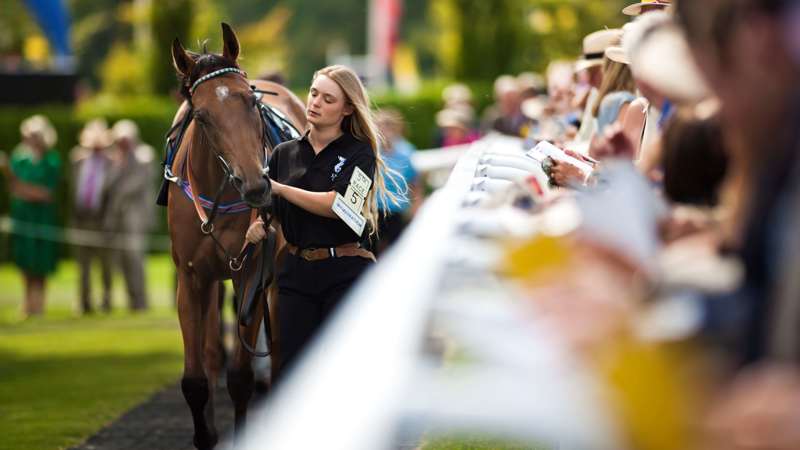 Goodwood launches £1,000 racing staff competition | Goodwood Media Centre