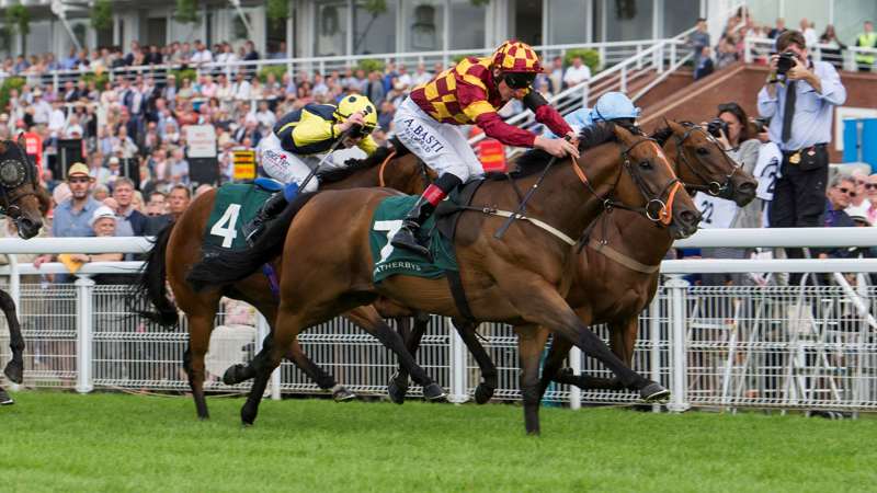 Adam Kirby leads RUK Jockey Award | Goodwood Media Centre