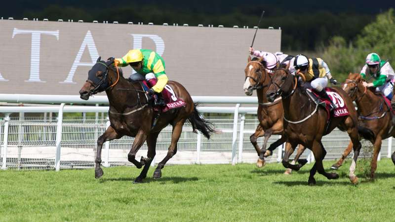 LANCELOT A FIRST STEWARDS' CUP AND QATAR GOODWOOD FESTIVAL WINNER FOR ...