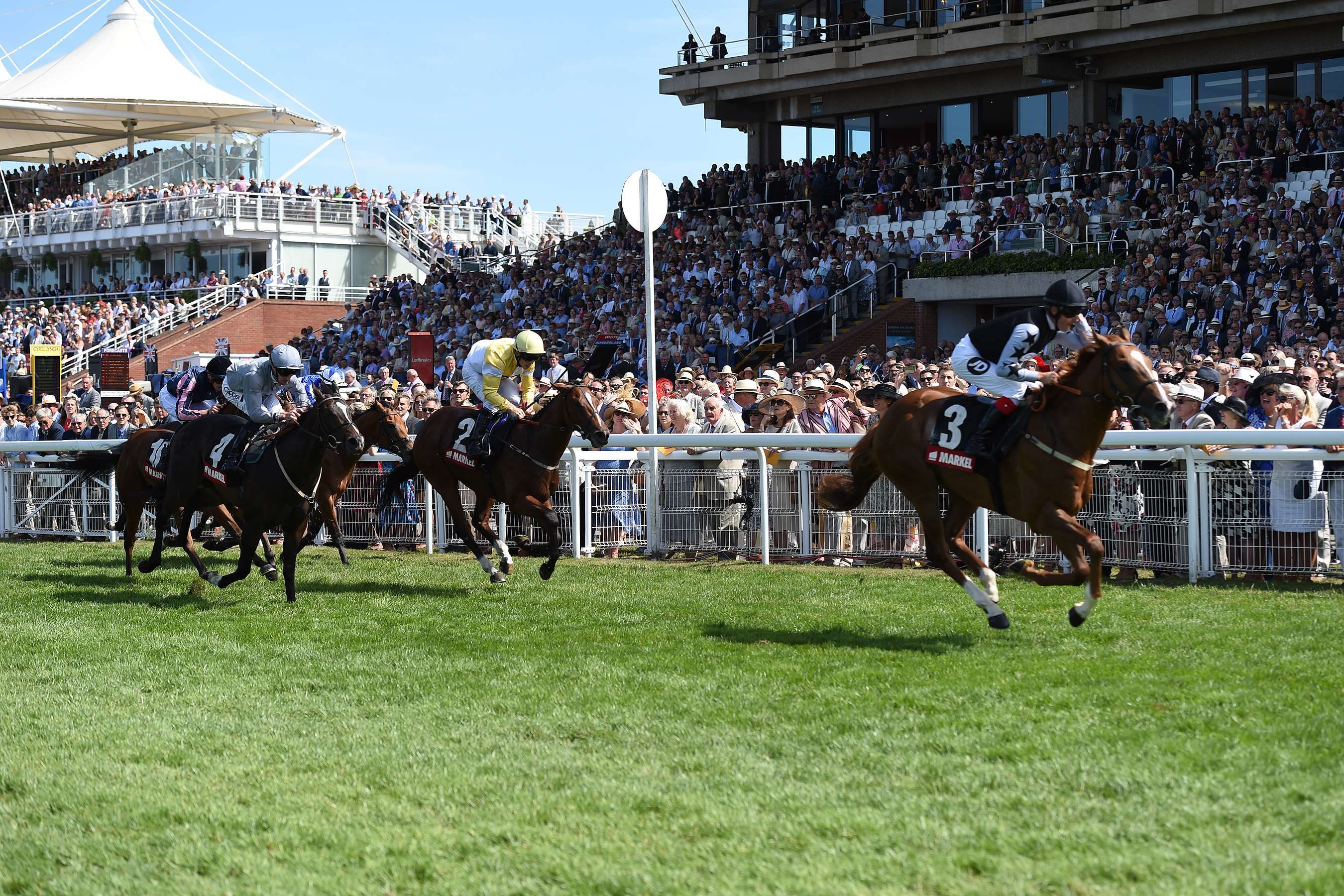 Its Jungle Style - With Fish And Chips - For Winning Trainer Spencer ...