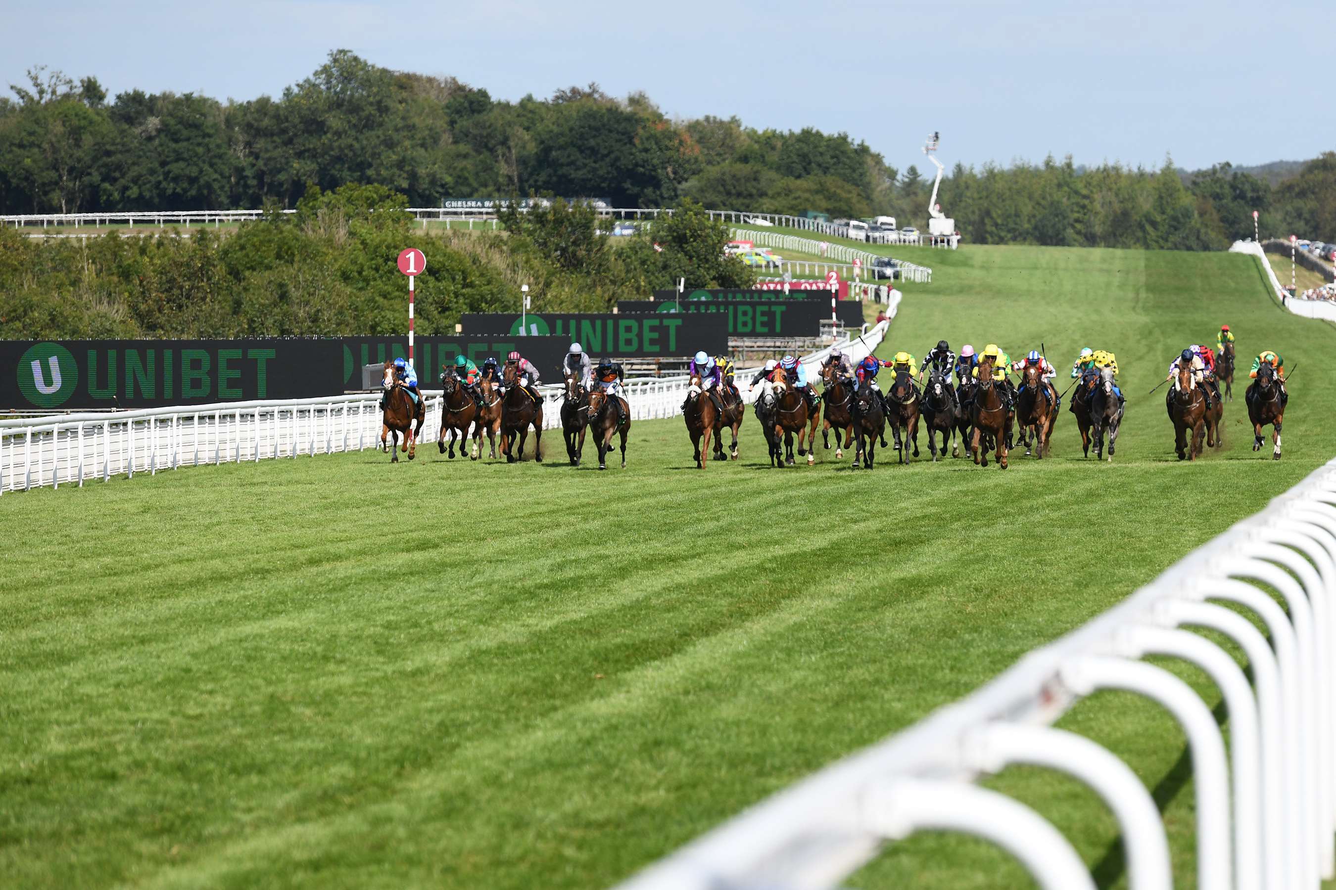 Hugo Palmer wins first Stewards' Cup | Goodwood Media Centre